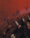 Music | Album Covers That Blow My Mind: Meatloaf's "Bat Out Of Hell"