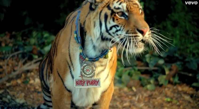 Unraveling the Leopard Print Mystery of Katy Perry's "Roar ...